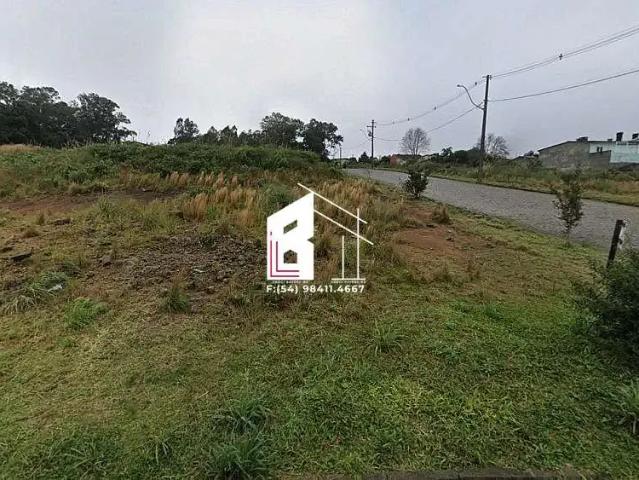 Terreno / Lote para Venda em Caxias do Sul/RS Cidade Nova