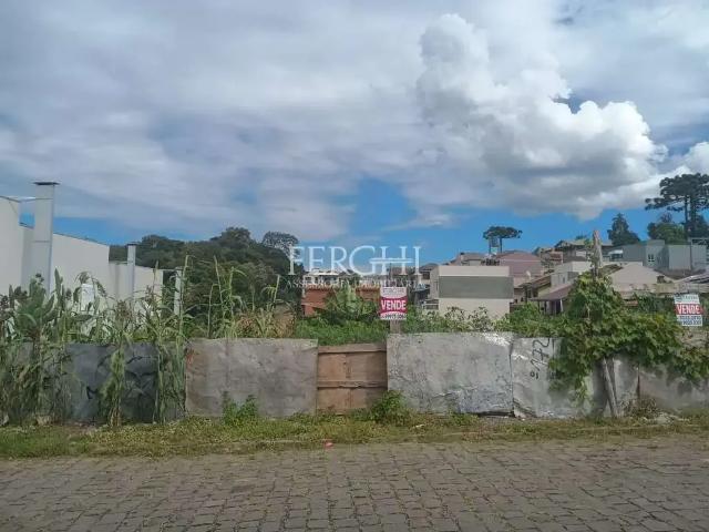 Terreno / Lote para Venda em Caxias do Sul/RS Cidade Nova