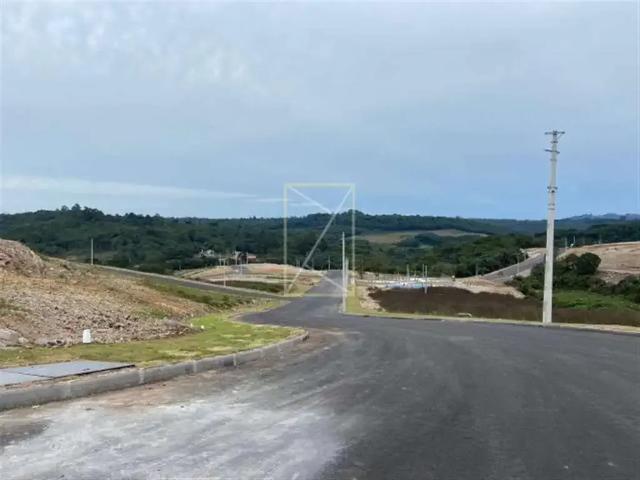 Terreno / Lote para Venda em Caxias do Sul/RS Cidade Nova