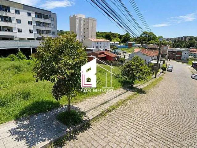 Terreno / Lote para Venda em Caxias do Sul/RS Cidade Nova