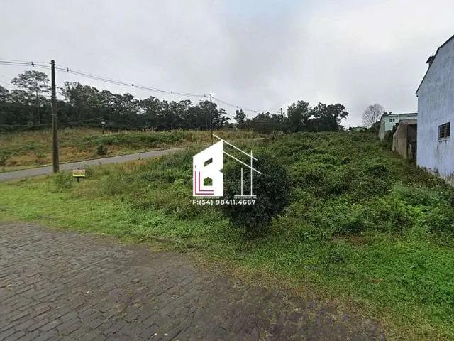 Terreno / Lote para Venda em Caxias do Sul/RS Cidade Nova