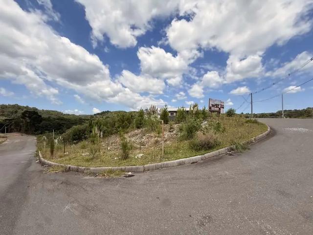 Terreno / Lote para Venda em Caxias do Sul/RS Cidade Nova