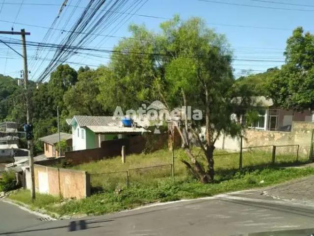 Terreno / Lote para Venda em Caxias do Sul/RS Cidade Nova