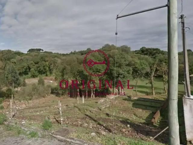 Terreno / Lote para Venda em Caxias do Sul/RS Cidade Nova