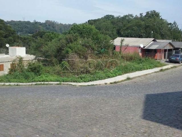 Terreno / Lote para Venda em Caxias do Sul/RS Cidade Industrial