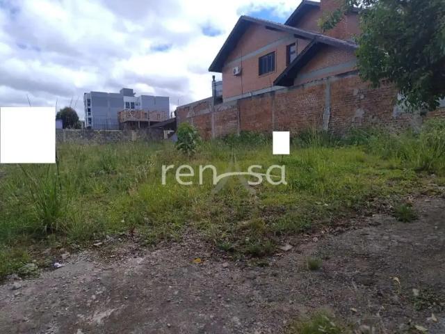 Terreno / Lote para Venda em Caxias do Sul/RS Cinqüentenário