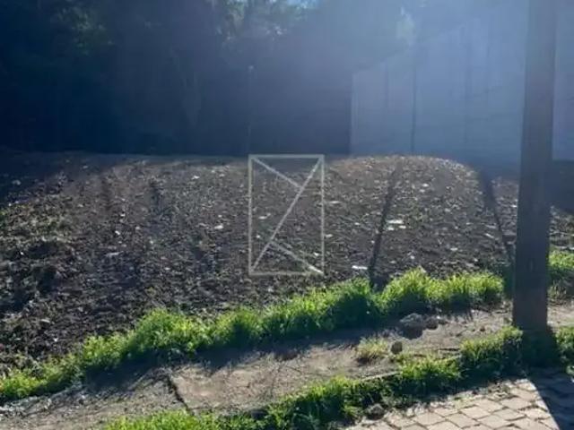 Terreno / Lote para Venda em Caxias do Sul/RS Cinqüentenário