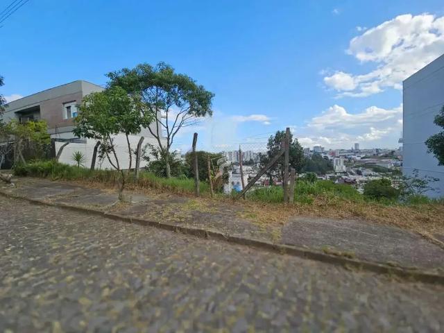 Terreno / Lote para Venda em Caxias do Sul/RS Cinqüentenário