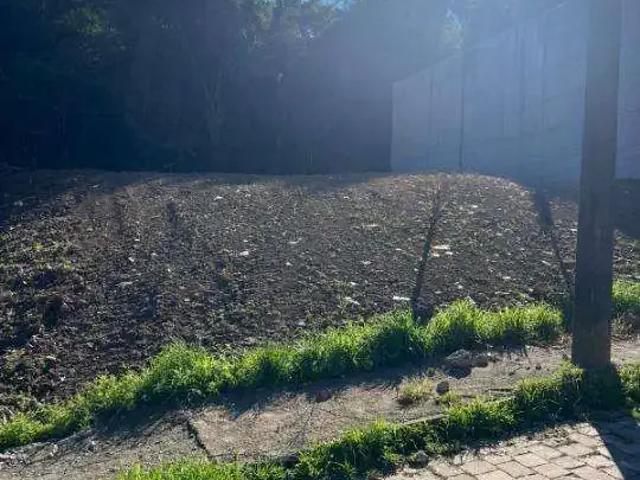Terreno / Lote para Venda em Caxias do Sul/RS Cinqüentenário