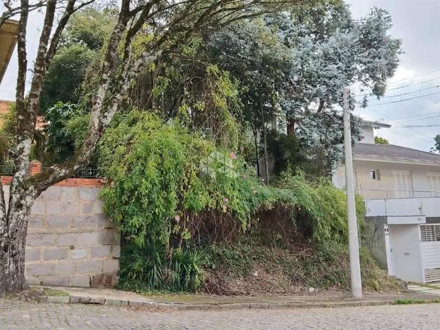 Terreno / Lote para Venda em Caxias do Sul/RS Cinqüentenário
