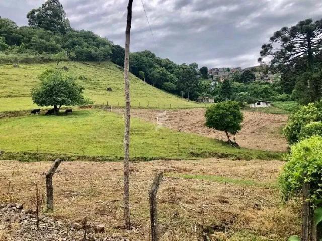 Terreno / Lote para Venda em Caxias do Sul/RS Cruzeiro