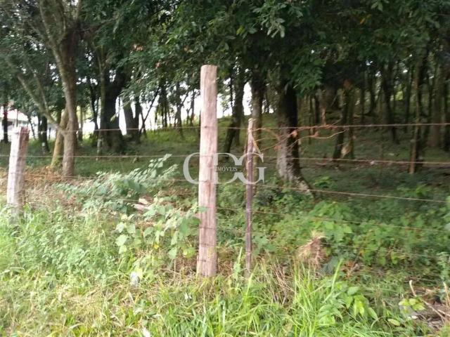Terreno / Lote para Venda em Caxias do Sul/RS Cruzeiro