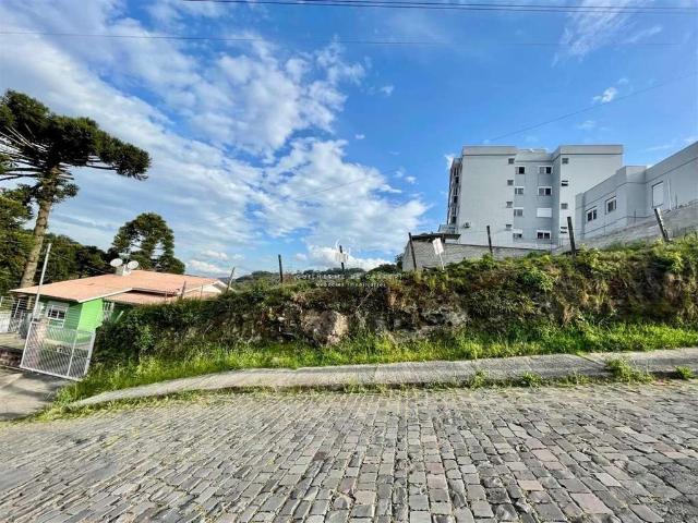 Terreno / Lote para Venda em Caxias do Sul/RS Cruzeiro