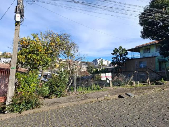 Terreno / Lote para Venda em Caxias do Sul/RS Cruzeiro