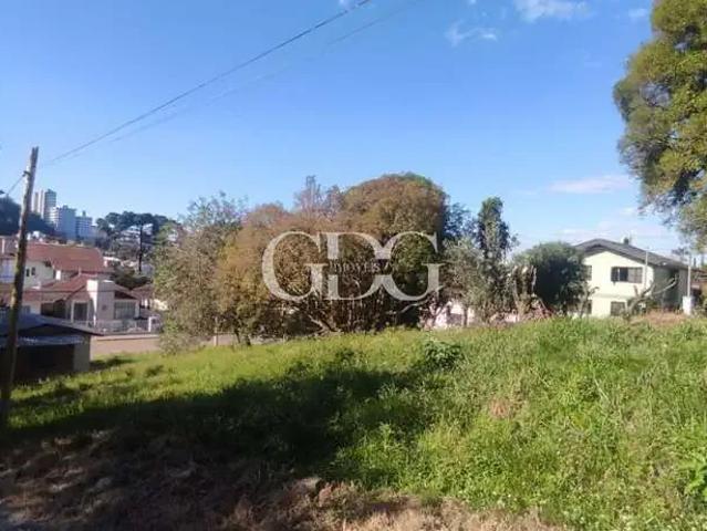Terreno / Lote para Venda em Caxias do Sul/RS Cruzeiro