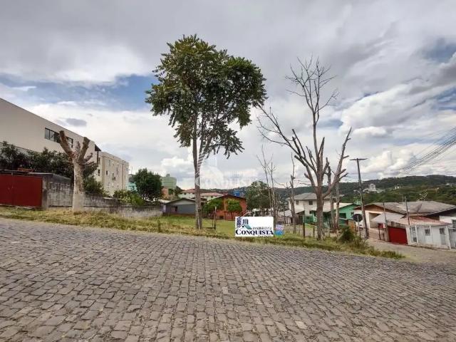 Terreno / Lote para Venda em Caxias do Sul/RS Cruzeiro