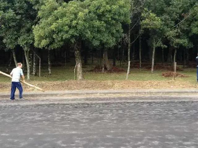 Terreno / Lote para Venda em Caxias do Sul/RS Cruzeiro