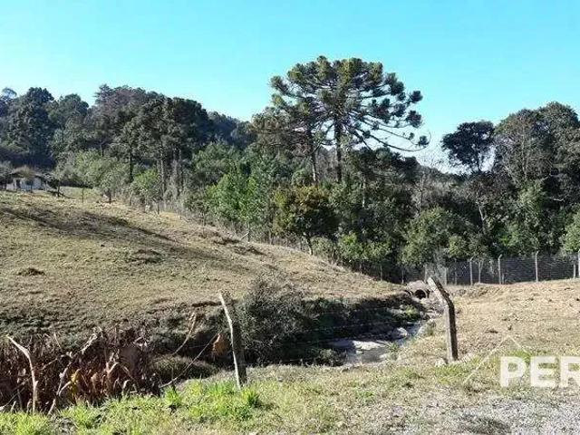 Terreno / Lote para Venda em Caxias do Sul/RS Cruzeiro
