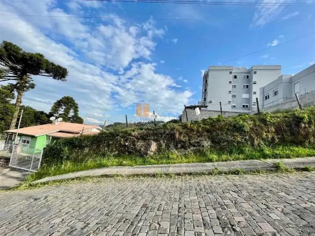 Terreno / Lote para Venda em Caxias do Sul/RS Cruzeiro