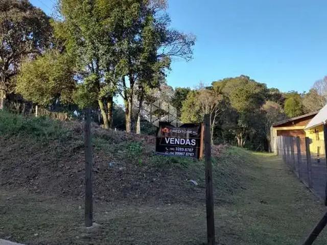 Terreno / Lote para Venda em Caxias do Sul/RS Cruzeiro