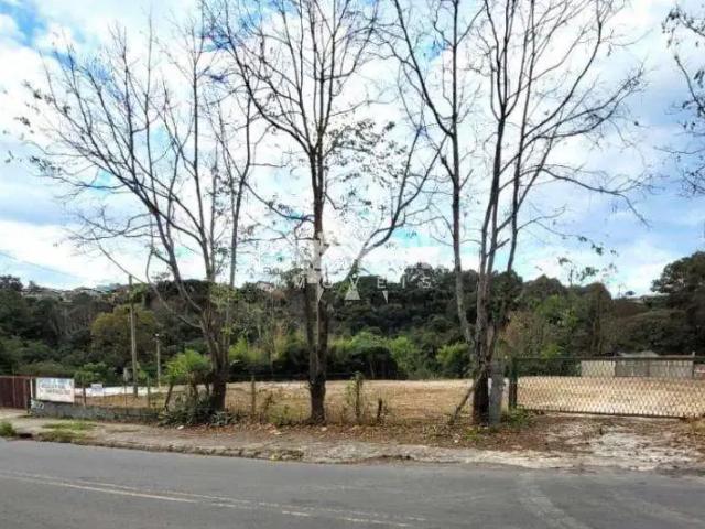 Terreno / Lote para Venda em Caxias do Sul/RS Cruzeiro