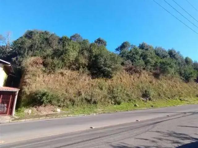 Terreno / Lote para Venda em Caxias do Sul/RS Cruzeiro