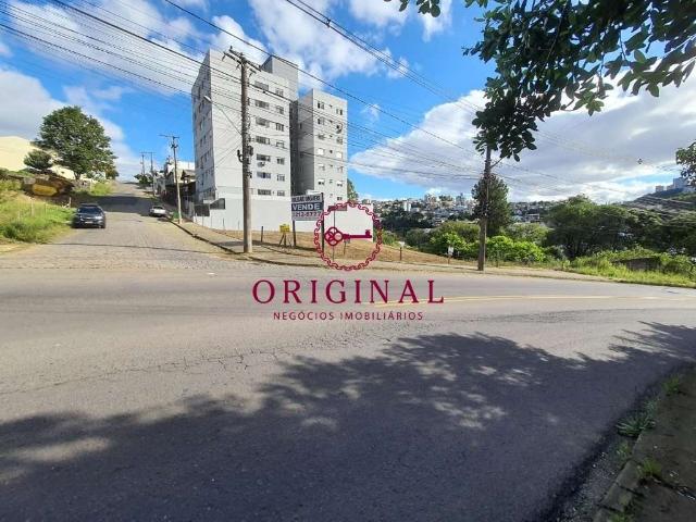 Terreno / Lote para Venda em Caxias do Sul/RS Cruzeiro