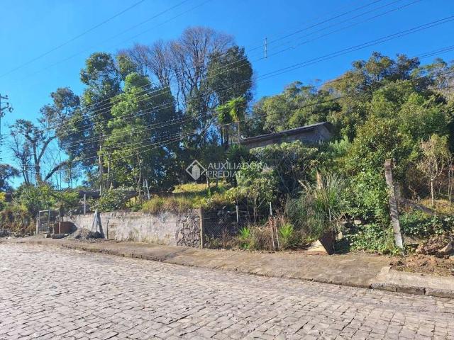 Terreno / Lote para Venda em Caxias do Sul/RS Cruzeiro