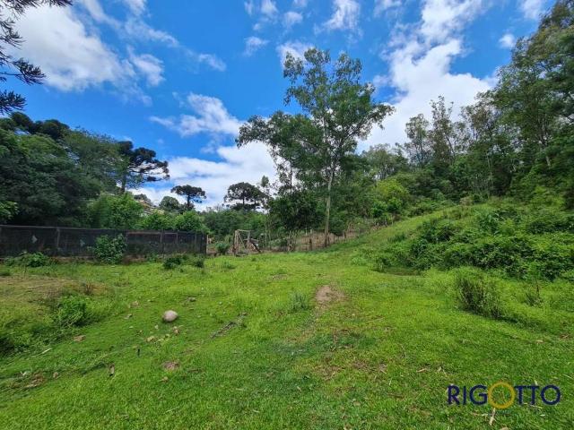Terreno / Lote para Venda em Caxias do Sul/RS Cruzeiro