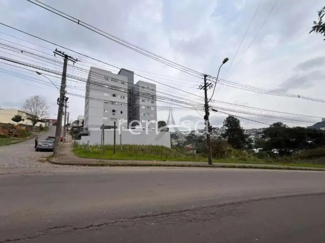 Terreno / Lote para Venda em Caxias do Sul/RS Cruzeiro