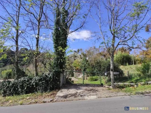 Terreno / Lote para Venda em Caxias do Sul/RS Cruzeiro