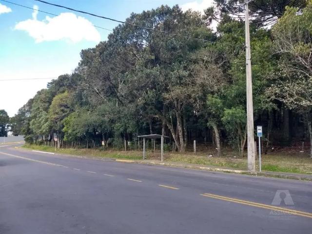 Terreno / Lote para Venda em Caxias do Sul/RS Cruzeiro