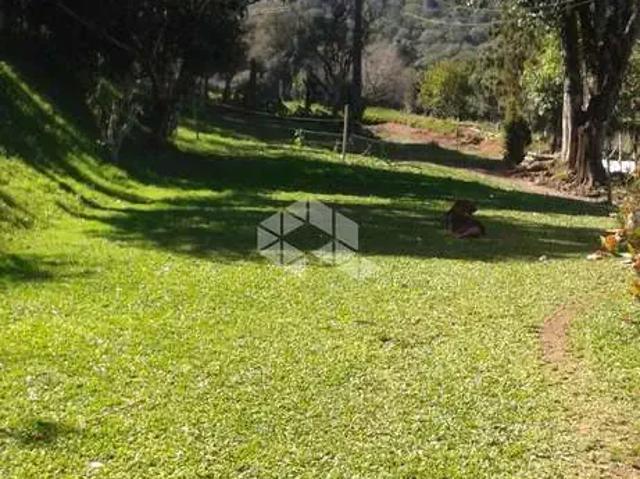 Terreno / Lote para Venda em Caxias do Sul/RS Cruzeiro