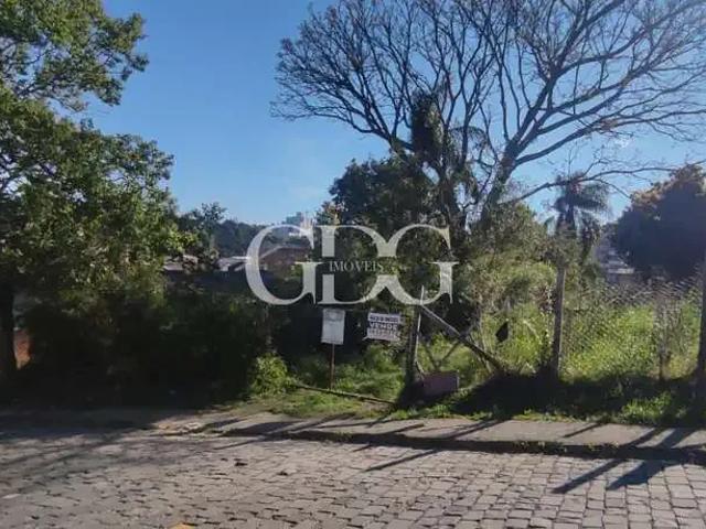 Terreno / Lote para Venda em Caxias do Sul/RS Cruzeiro