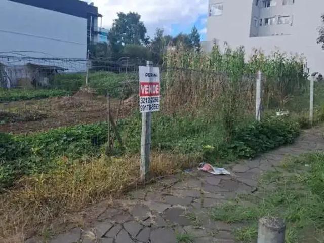 Terreno / Lote para Venda em Caxias do Sul/RS Cruzeiro