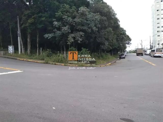 Terreno / Lote para Venda em Caxias do Sul/RS Cruzeiro