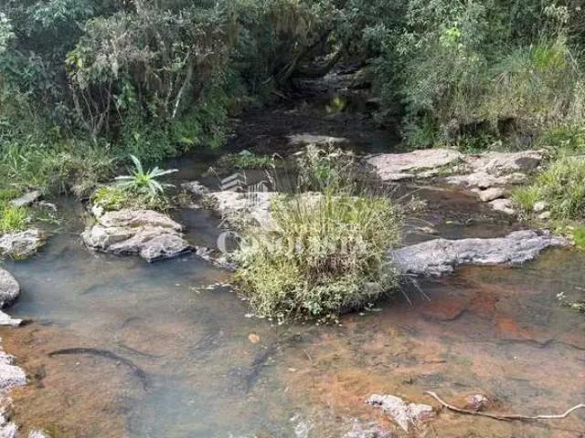 Terreno / Lote para Venda em Caxias do Sul/RS Criúva