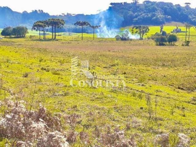 Terreno / Lote para Venda em Caxias do Sul/RS Criúva