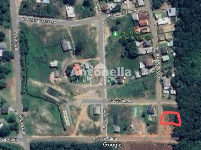 Terreno / Lote para Venda em Caxias do Sul/RS Ana Rech
