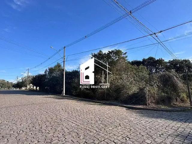 Terreno / Lote para Venda em Caxias do Sul/RS Ana Rech