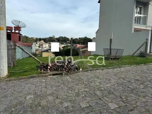 Terreno / Lote para Venda em Caxias do Sul/RS Ana Rech