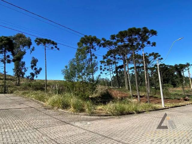 Terreno / Lote para Venda em Caxias do Sul/RS Ana Rech