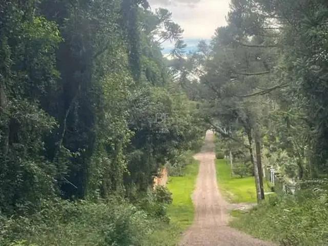 Terreno / Lote para Venda em Caxias do Sul/RS Ana Rech