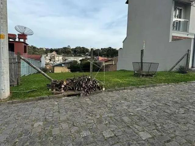 Terreno / Lote para Venda em Caxias do Sul/RS Ana Rech