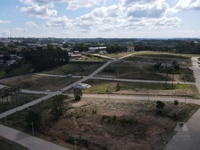 Terreno / Lote para Venda em Caxias do Sul/RS Ana Rech