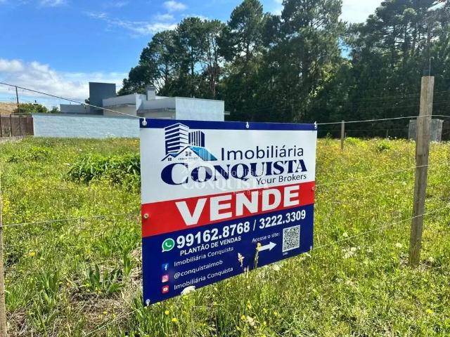 Terreno / Lote para Venda em Caxias do Sul/RS Ana Rech