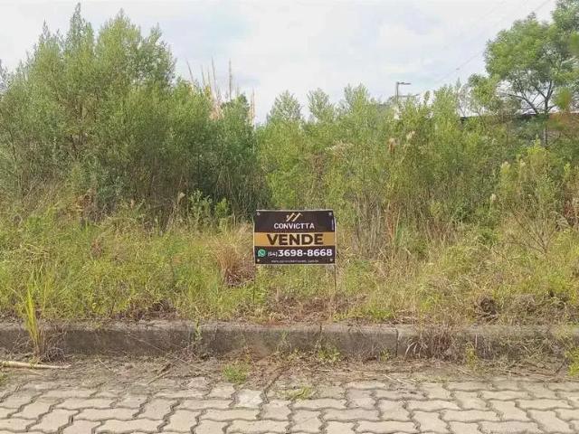 Terreno / Lote para Venda em Caxias do Sul/RS Ana Rech