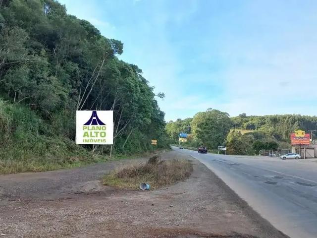 Terreno / Lote para Venda em Caxias do Sul/RS Ana Rech
