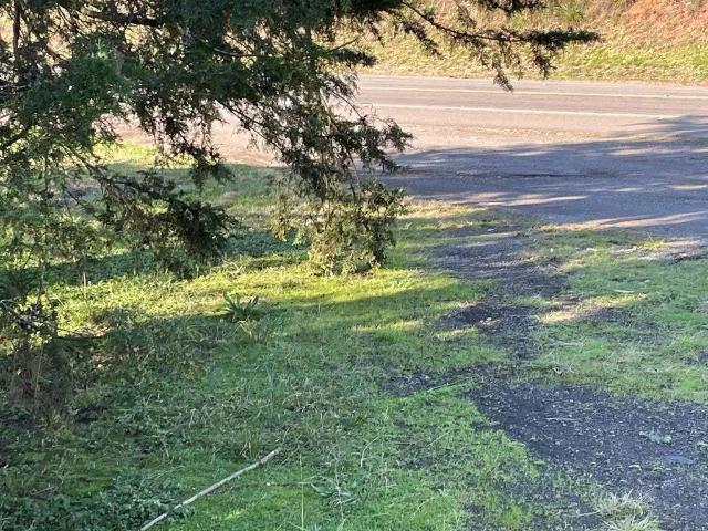 Terreno / Lote para Venda em Caxias do Sul/RS Ana Rech