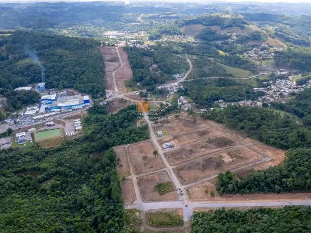 Terreno / Lote para Venda em Caxias do Sul/RS Ana Rech